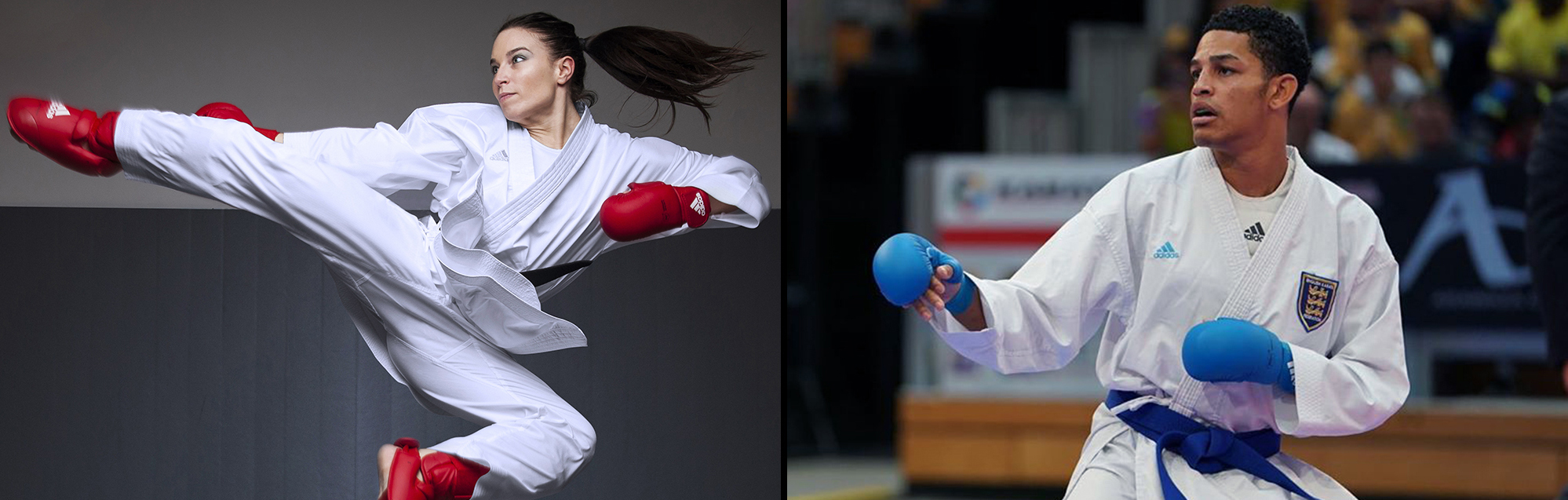 Home page [www.cimac.net]